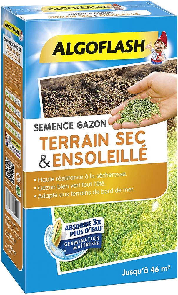 Semence gazonterrain sec ensoleille 1kg | Mr.Bricolage Ci | Mr ...